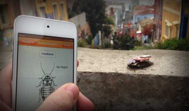 Biohacking: How To Control Living Cockroaches With Your Smartphone ...
