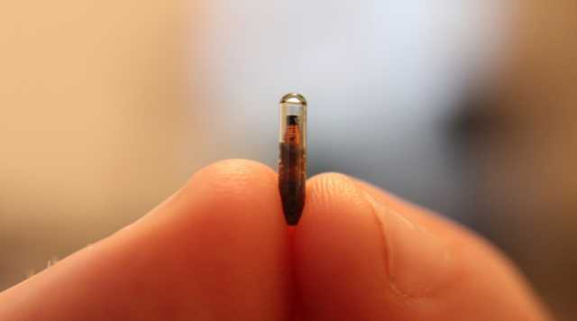 How Tiny RFID Tagging Chips Will Change Our Lives