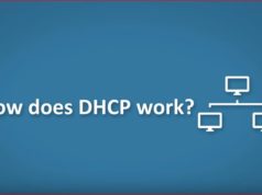 Different Networking Devices And Hardware Types — Hub, Switch, Router ...