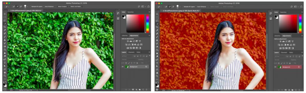 Adobe Photoshop s AI Powered Update Lets You Select Objects With Just 