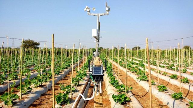 How "Fasal" Is Using AI And IoT To Help Farmers Grow More And Grow Better