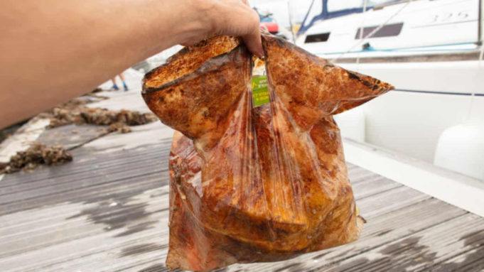 Biodegradable Plastic Is As Bad As Conventional Plastic: Research