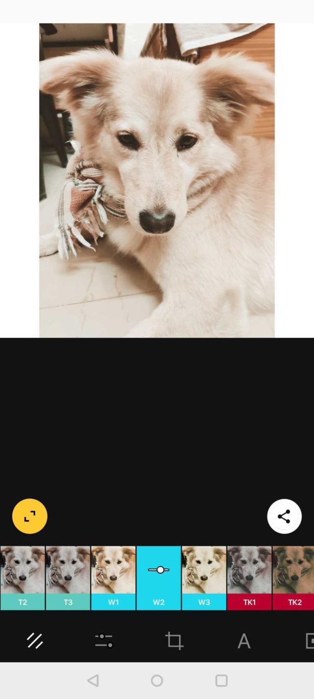 Instasize Photo Editor: A Minimalist Tool For Insta-Worthy Photos