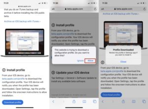iOS 14 And iPadOS 14 Public Beta Live: Here Is How To Install It