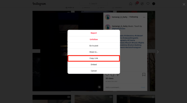 How To Download Instagram Videos & Stories? (For PC, Android & iOS Users)