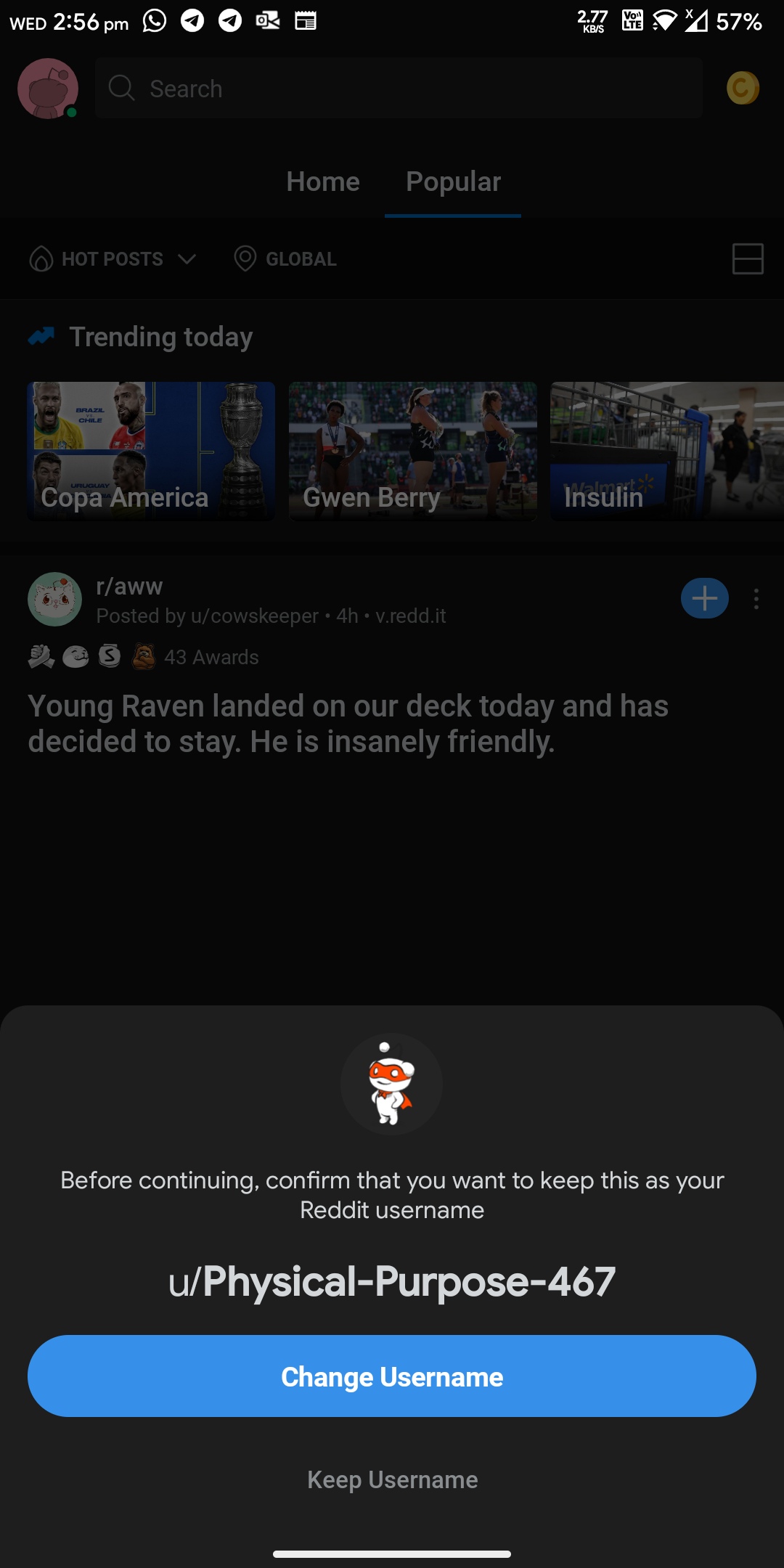 How To Change My Reddit Username?