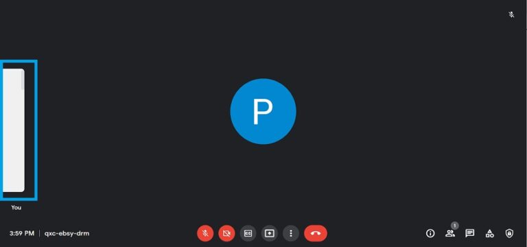 Sneak Out Of Boring Meetings! Just Freeze Your Screen On Google Meet