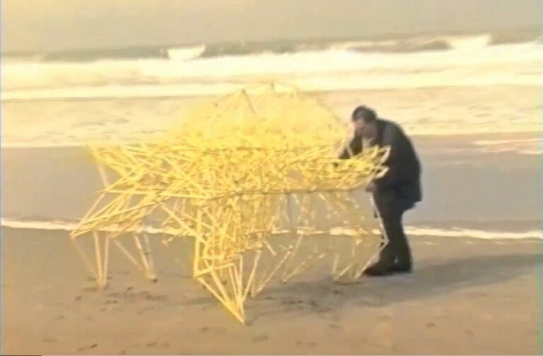 Strandbeests, The Man-made Beach Creatures Of The Netherlands