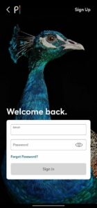 How To Change Payment Method On Peacock TV - Fossbytes