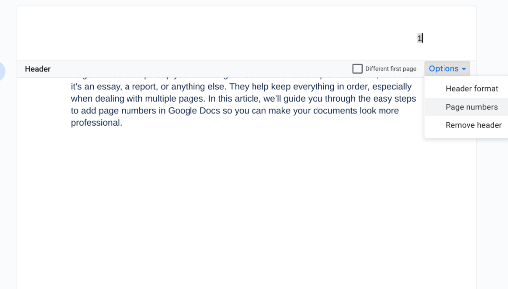 How to Add Page Numbers in Google Docs? - Fossbytes