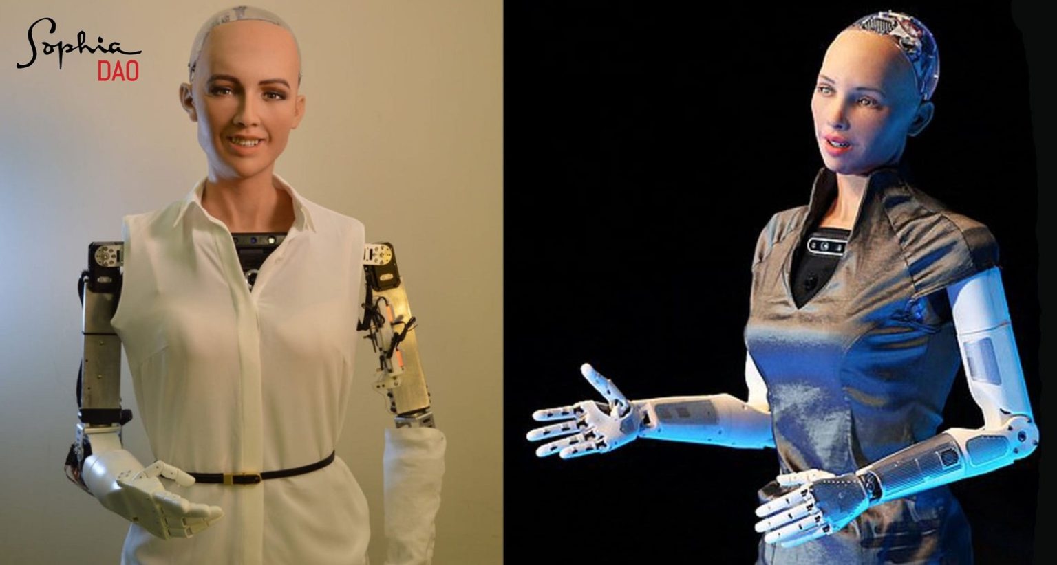 10 Most Advanced Humanoid Robots - Fossbytes