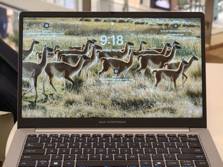 What Is ASUS ExpertBook P1 Business Laptop (14" Full HD Display / Intel ...